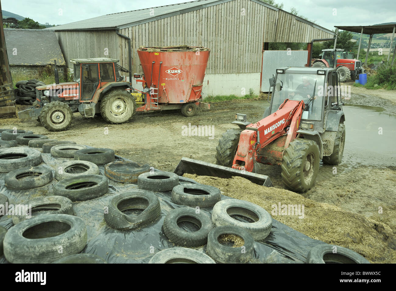Dairy farming, loading silage into Kuhn Euromix feeder wagon, for ...