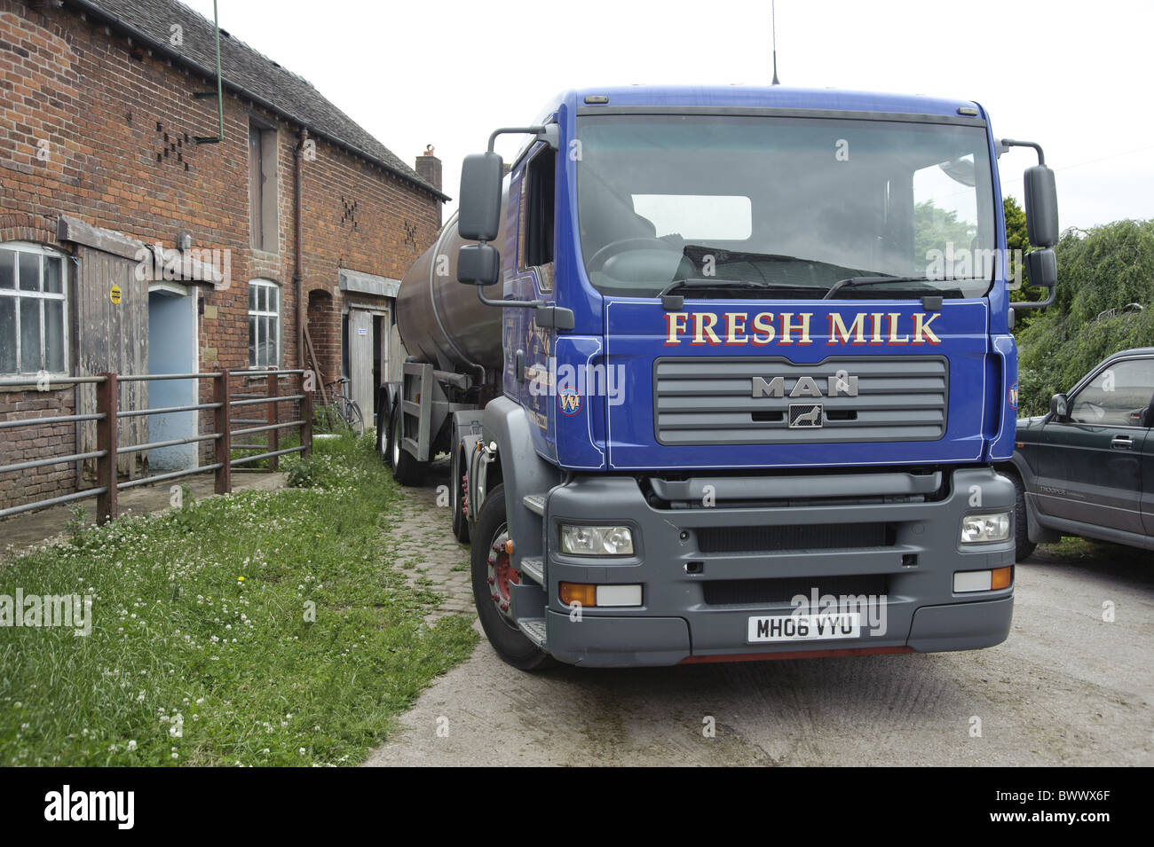 dairy lorry milk tanker farm farms farming cattle cow cows dairy dairys ...