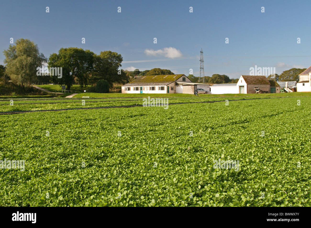 Blue Britain British Cloud Clouds Dorset England English Europe ...
