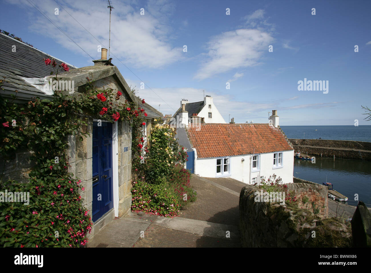 Crail harbor hi-res stock photography and images - Alamy