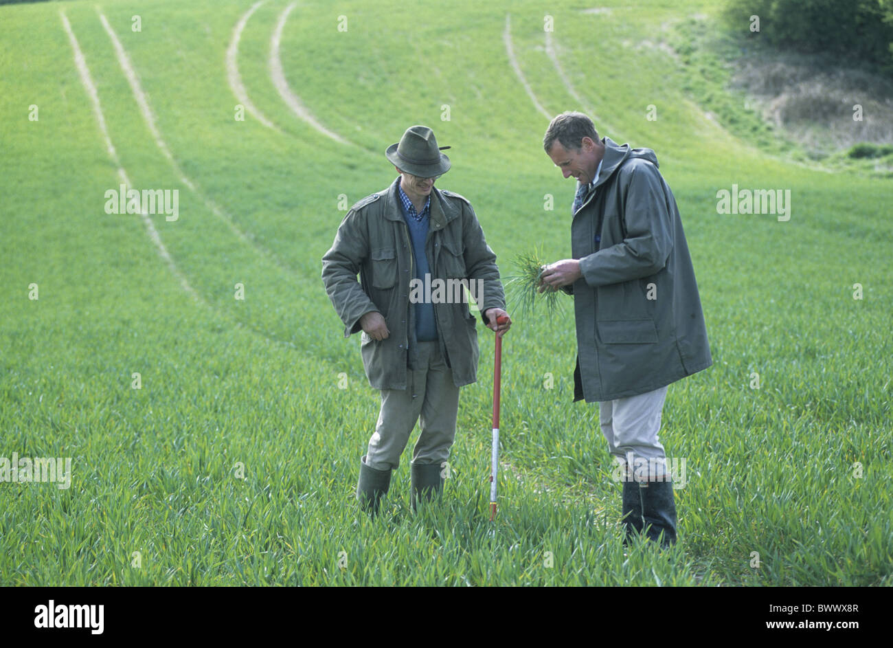 The british farmer hi-res stock photography and images - Alamy