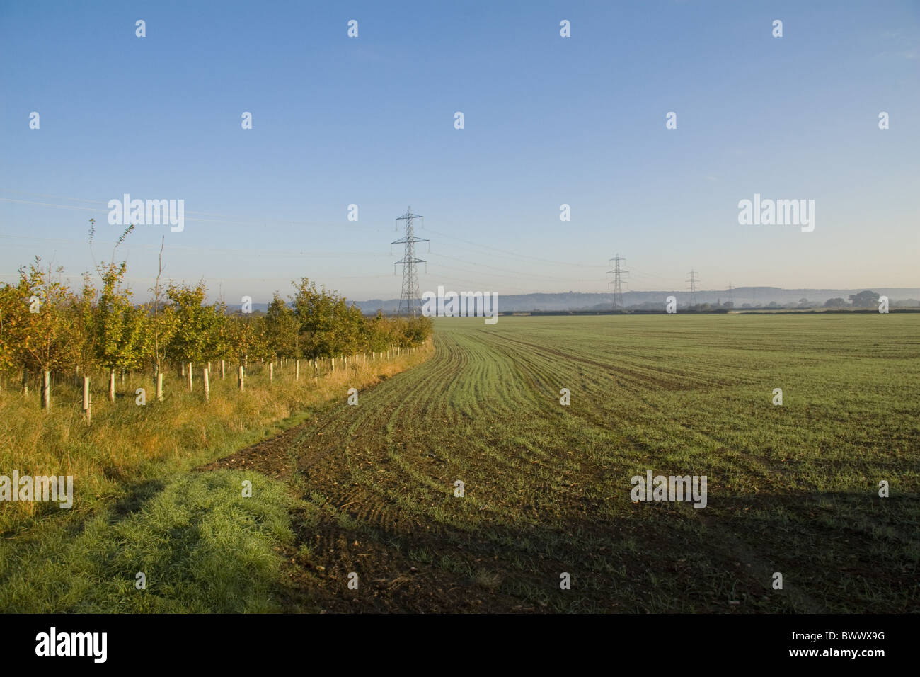 Agricultural Agriculture Autumn Blue Sky Blue Britain British Common ...