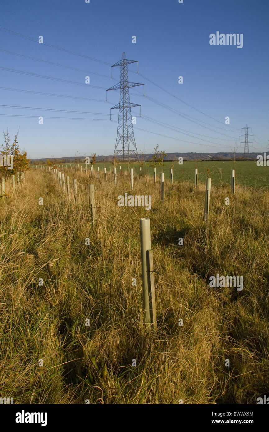 Autumn Blue Sky Blue Britain British Cable Cables Climate Countryside ...