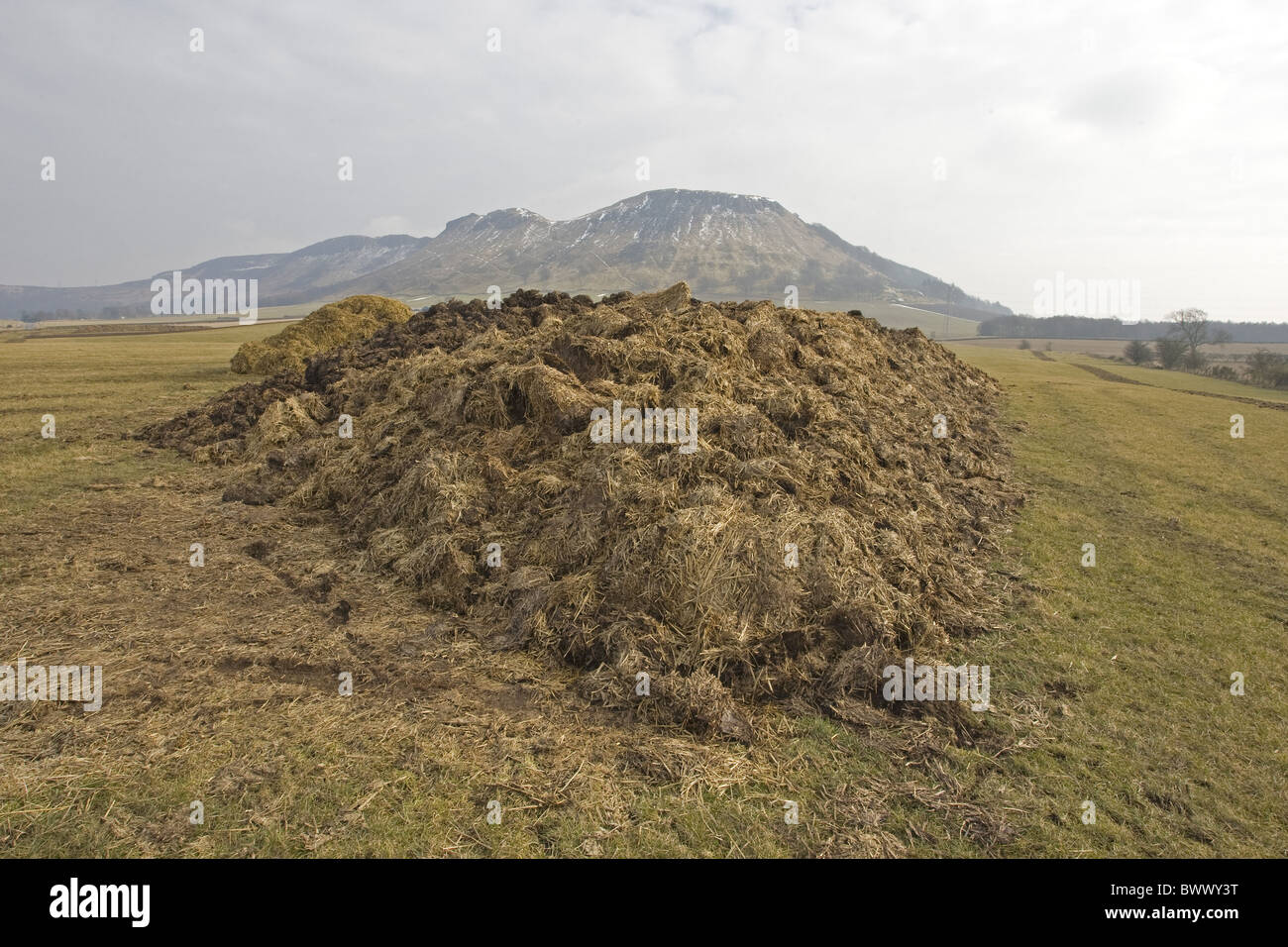 Manure heap hi-res stock photography and images - Alamy