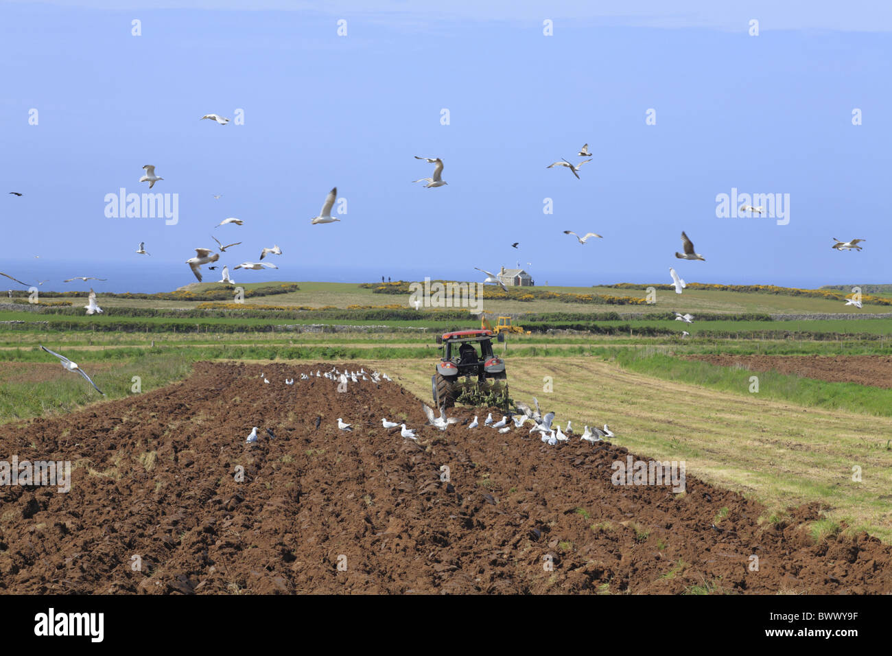 ggower wales welsh britain british country countryside rural scene ...