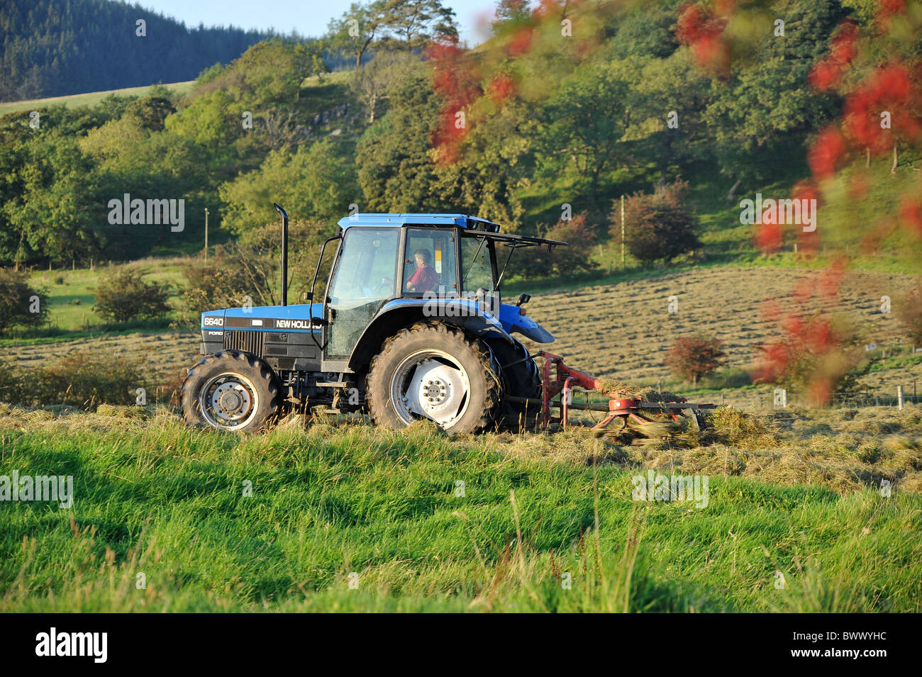 silage New Holland tedding tractor grass bales Vicon farm farms farming ...