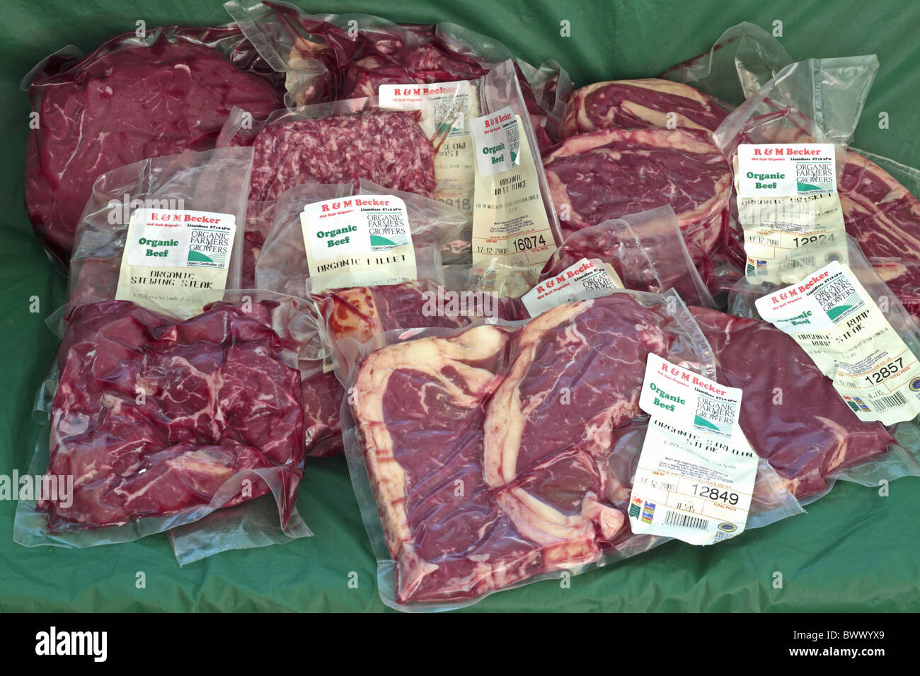 beef meat steak organic cow cattle bos taurus food feed joint market ...