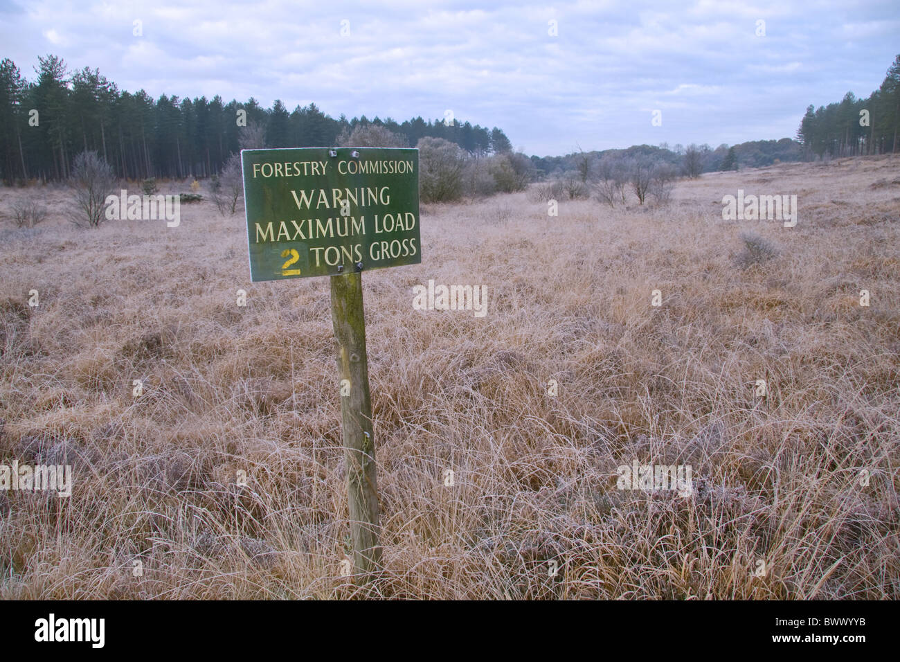 'Warning Maximum Load Two Tons Gross' Forestry Commision sign, on ...