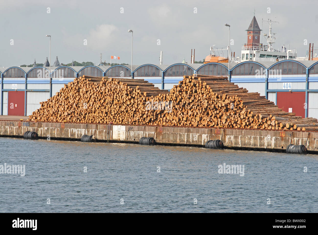 Conifer logs waiting for shipment docks Sweden Stock Photo - Alamy