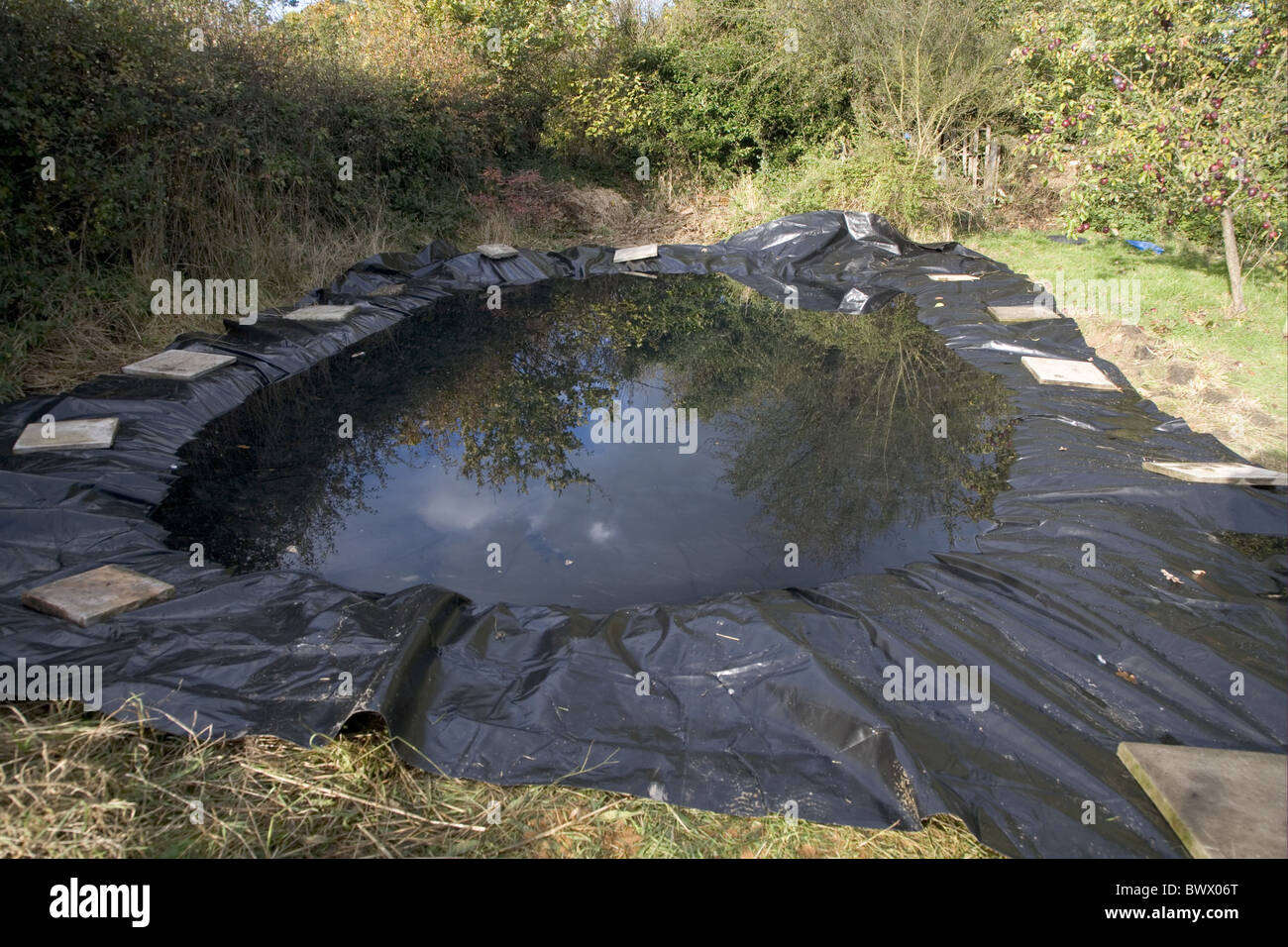 Creating new garden pond, with pond liner nearly full of water, paving ...