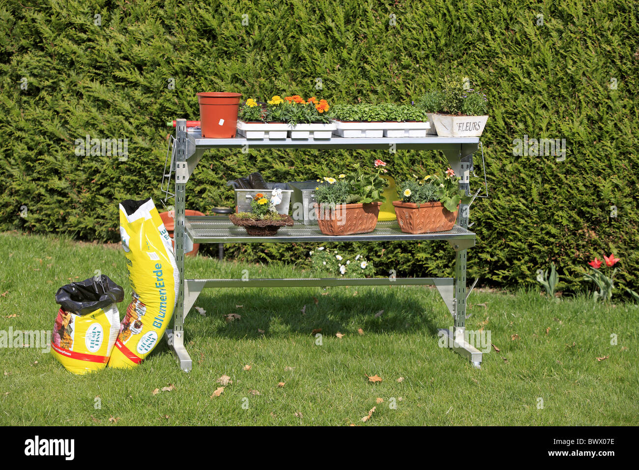 Garden potting table with plants pots bags Stock Photo - Alamy