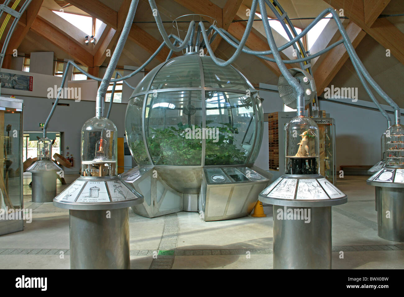 eden project core interior cornwall england uk human humans people ...