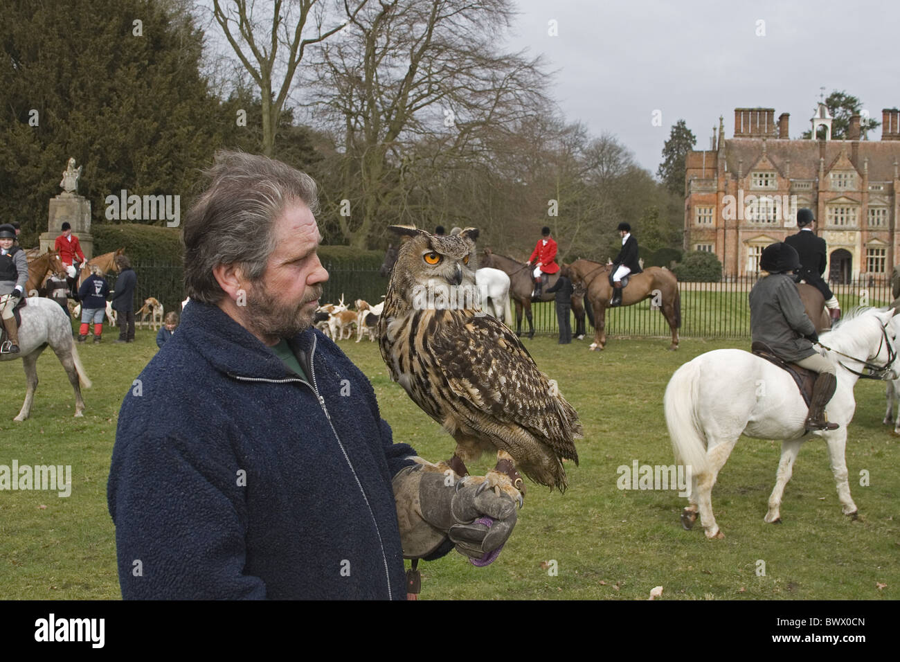 Eagle owl fox hi-res stock photography and images - Alamy