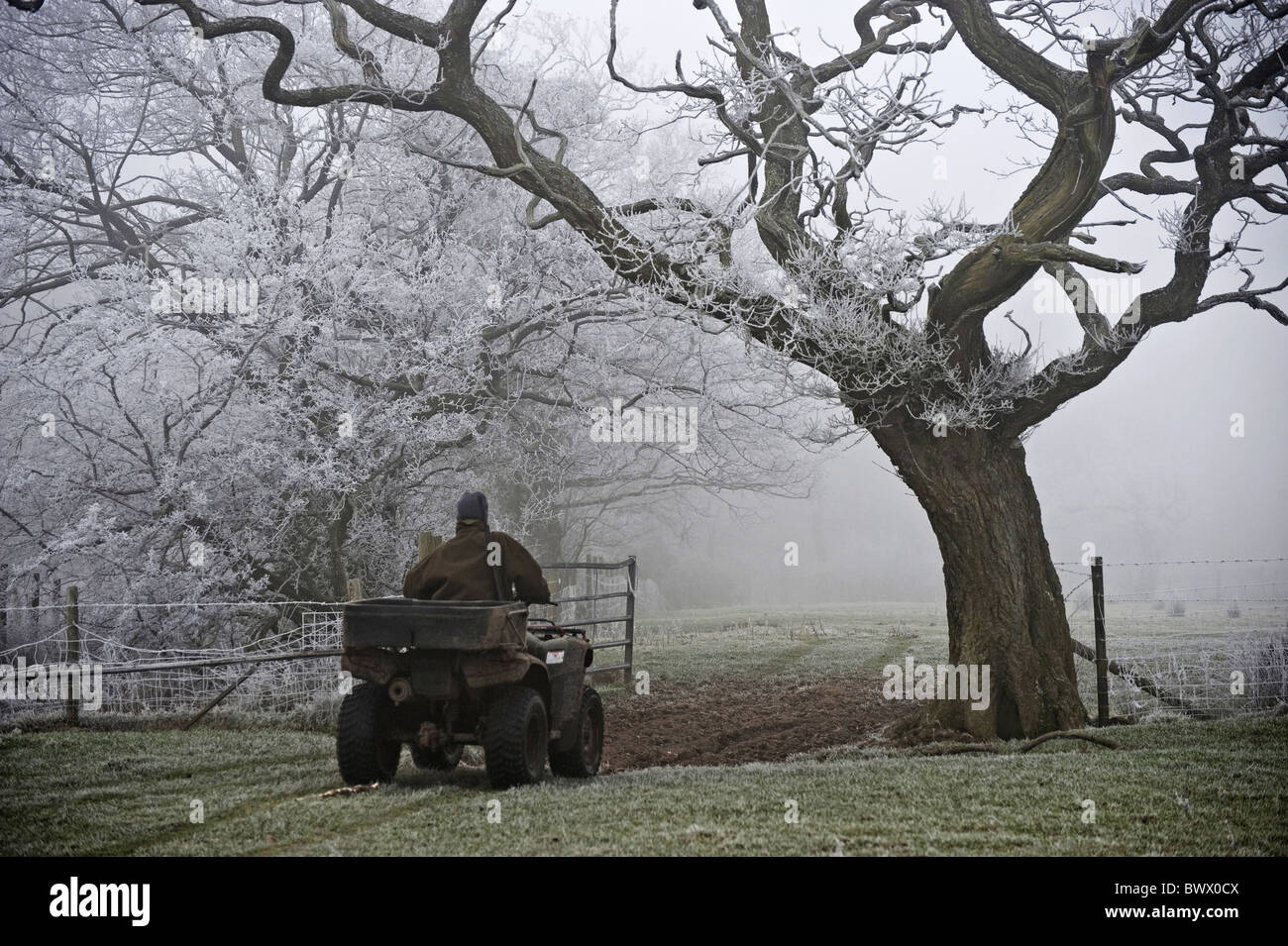 Gamekeeper riding quad bike farmland with frost Stock Photo - Alamy