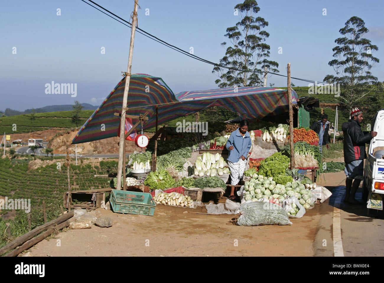 Roadside vegetable stall, Sri Lanka Stock Photo - Alamy