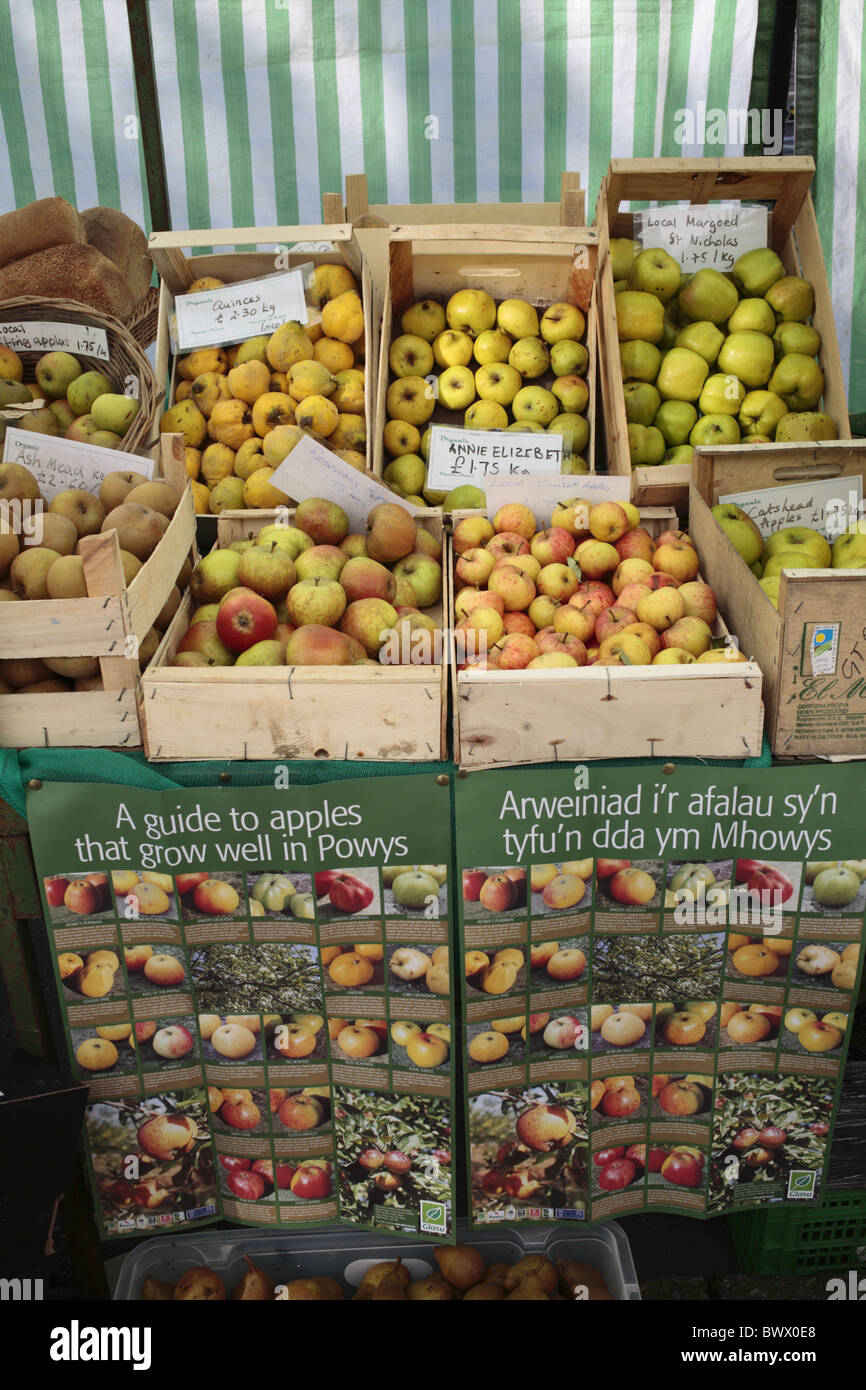 Apple fruit variety varieties agriculture agricultural horticulture ...