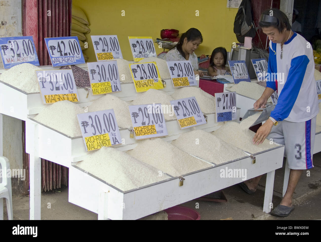 Agriculture Agricultural Asia Asian South East Asia Rice Grain Grains ...