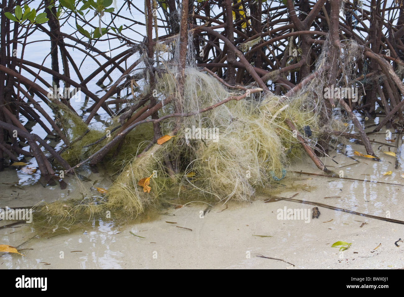 Asia Asian Southeast Asia Abandon Abandoned Pollution Environment ...