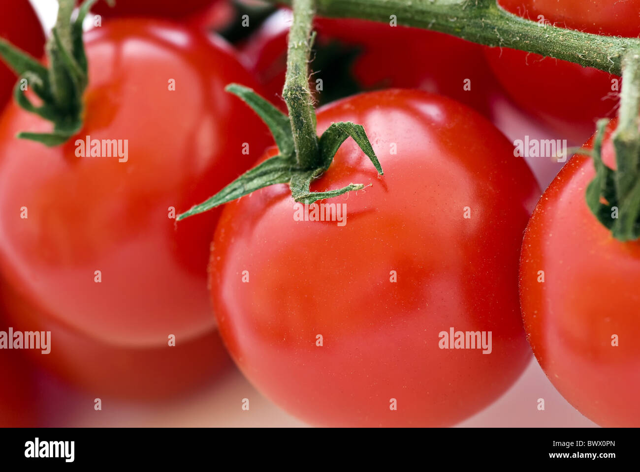 Kirschtomate hi-res stock photography and images - Alamy