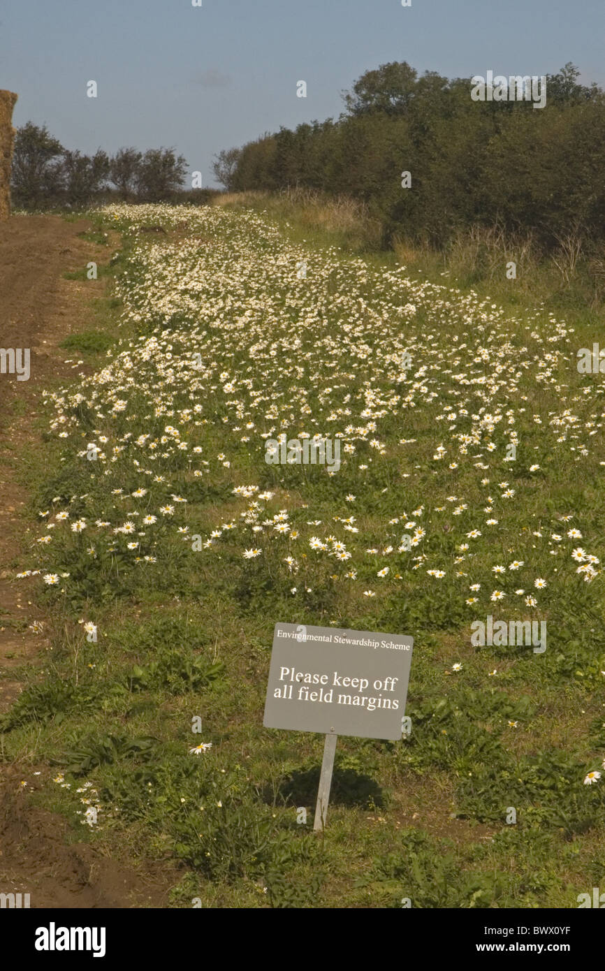 Please keep off all field margins' sign Stock Photo - Alamy