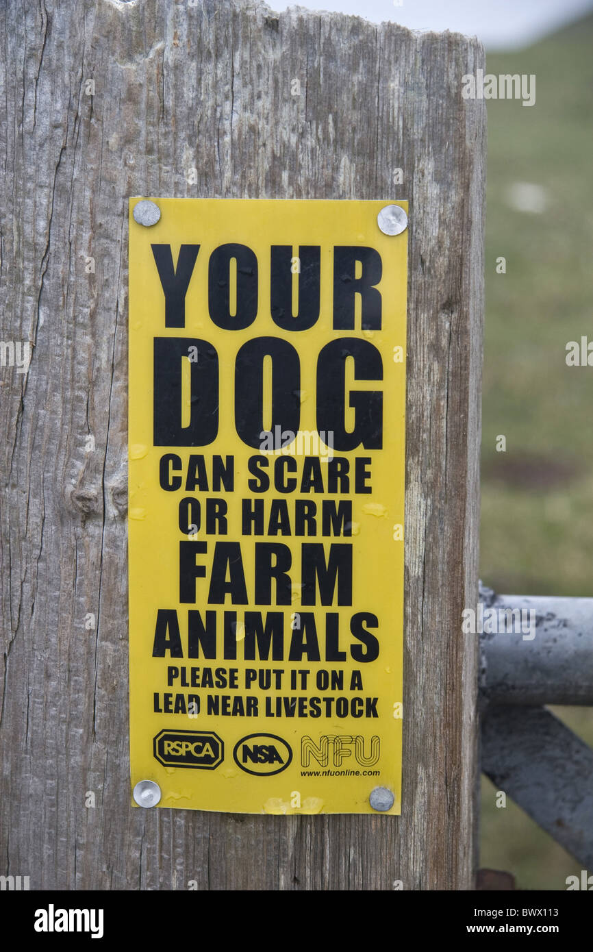 British farm animals hi-res stock photography and images - Alamy