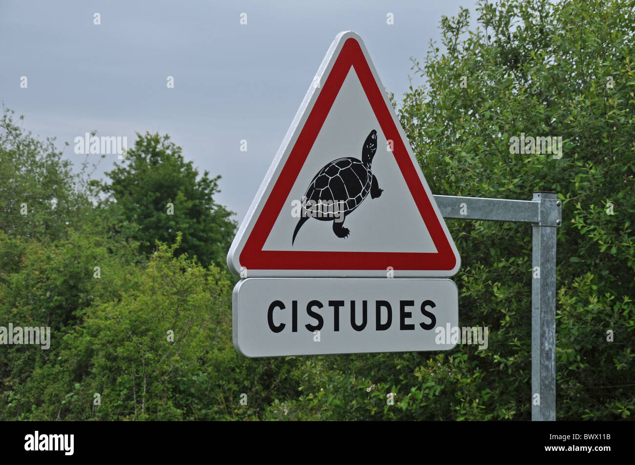 Cistudes' sign terrapin crossing road warning Stock Photo - Alamy