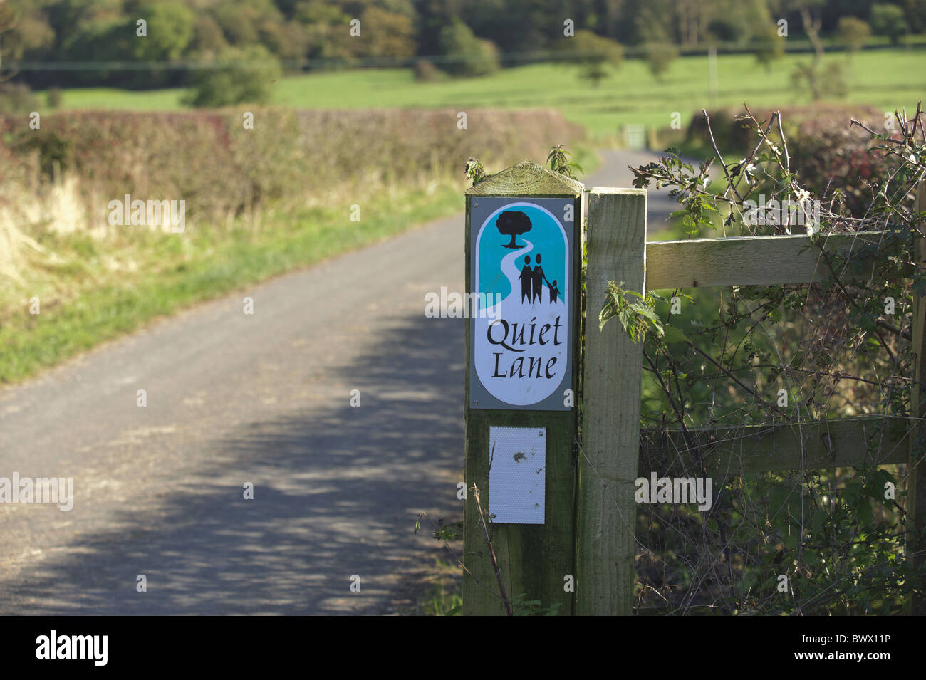 Quiet Lane' sign verge rural road Longridge Stock Photo - Alamy