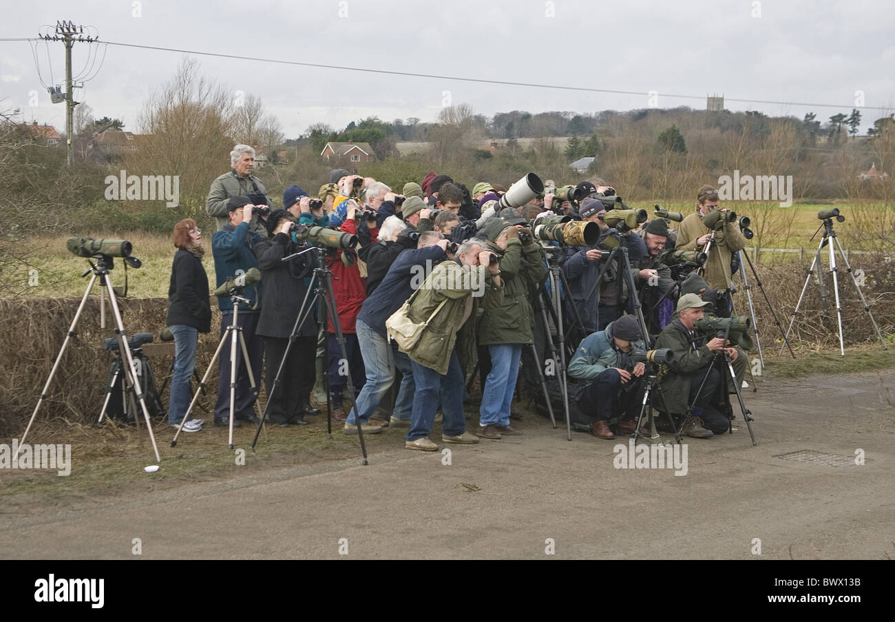 Birdwatching group 'twitchers' looking rare Stock Photo - Alamy