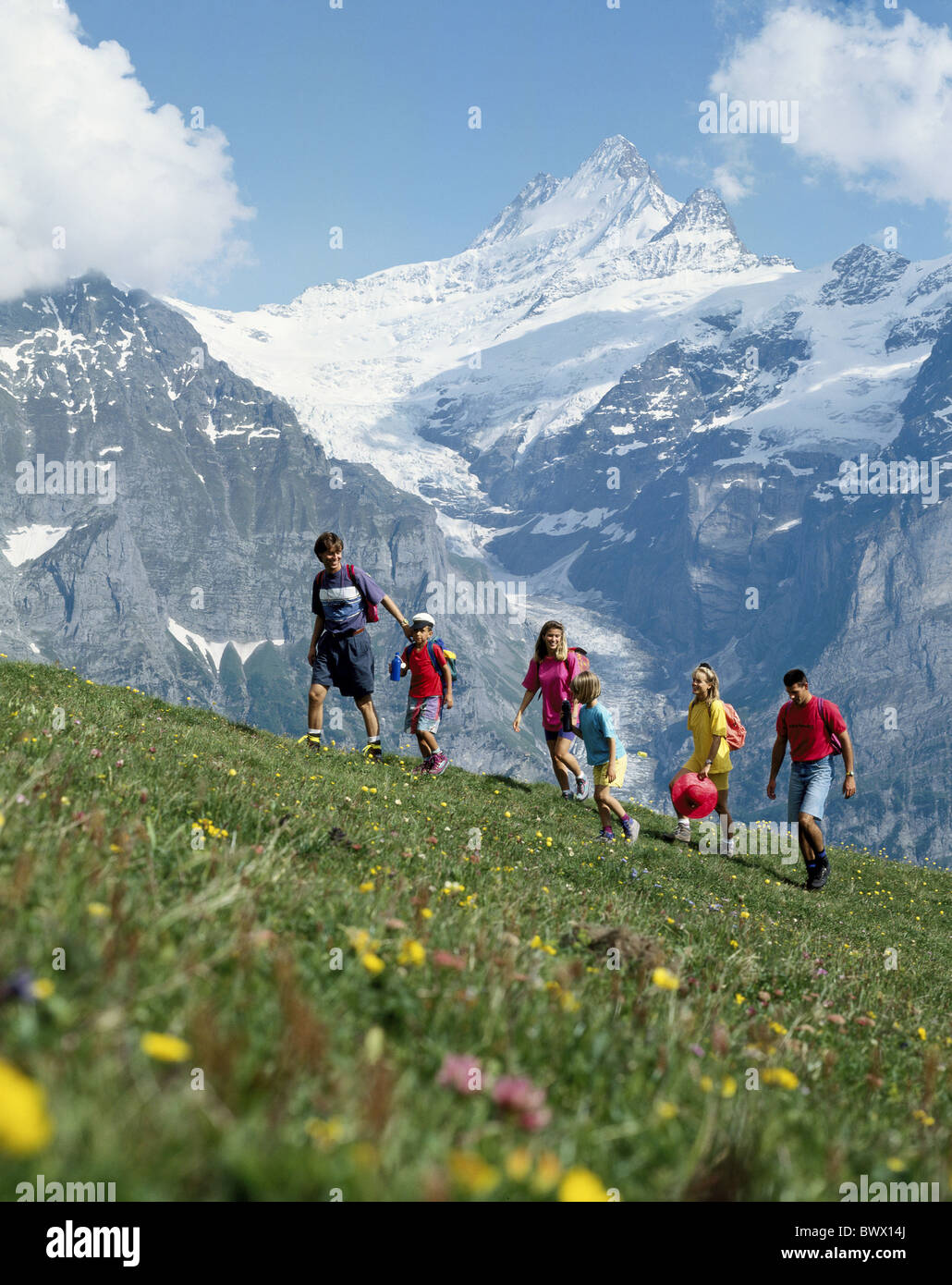 alpine Alps mountains Switzerland Europe mountain walking Bernese ...