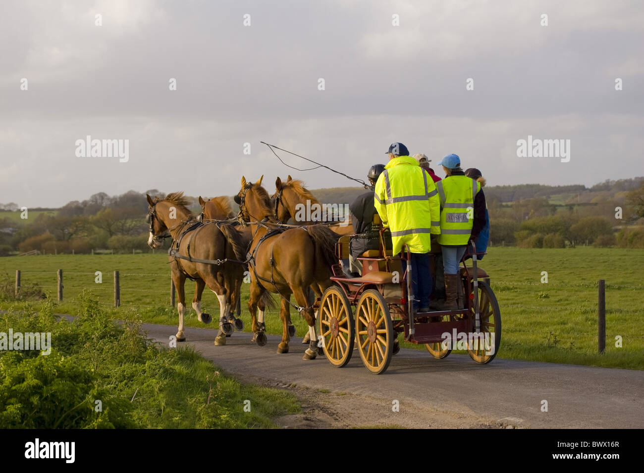Four carriage horses hi-res stock photography and images - Alamy