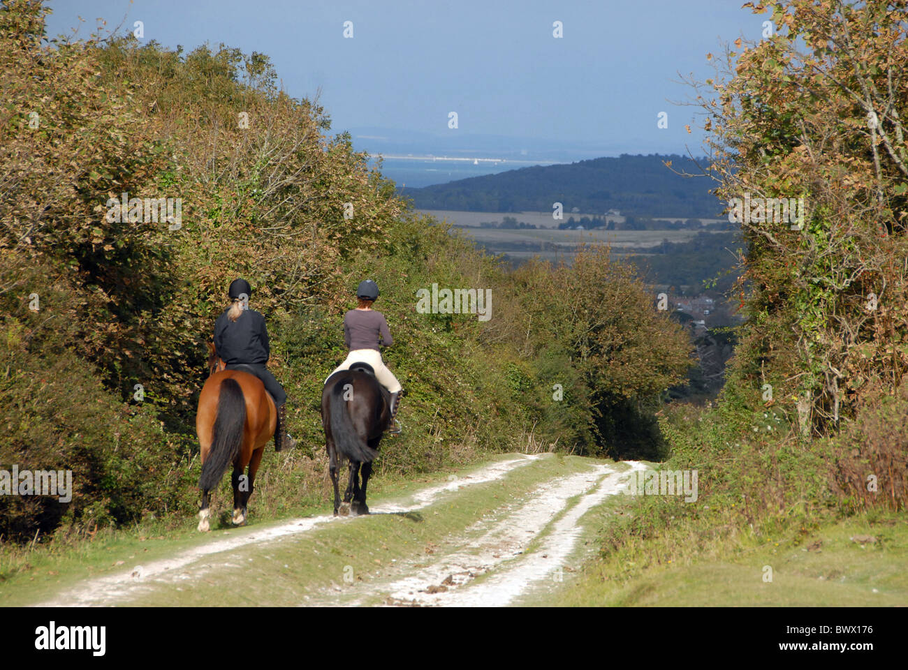 Horse with two riders hi-res stock photography and images - Alamy