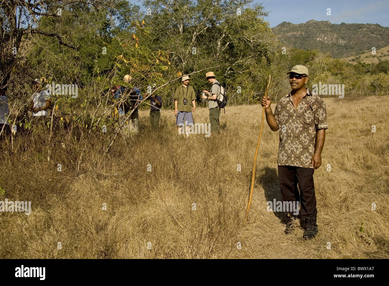 Komodo Dragon Guide High Resolution Stock Photography and Images - Alamy