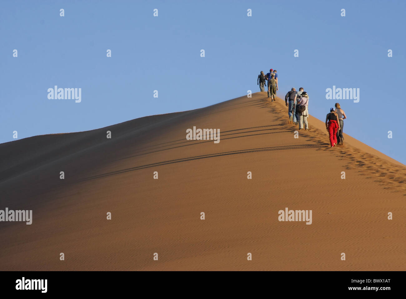 Walking star hi-res stock photography and images - Alamy