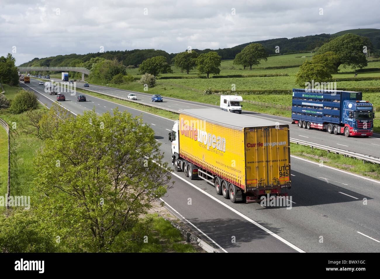 Road through farmland with livestock transport Stock Photo - Alamy