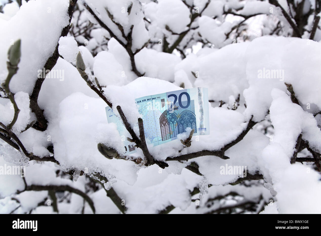 Money falling on trees hi-res stock photography and images - Alamy