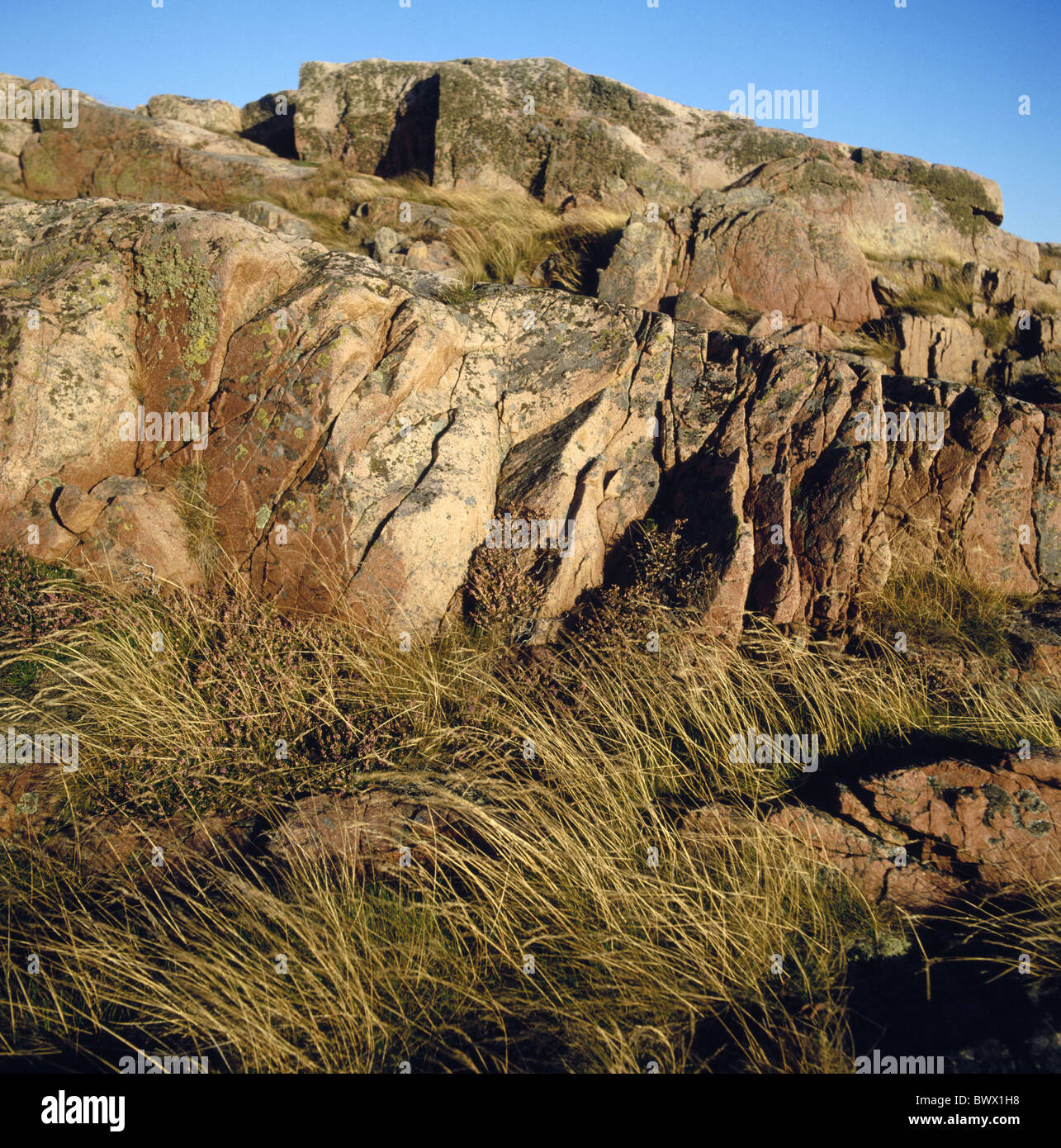 cliff rock scenery scenery reed Stock Photo - Alamy