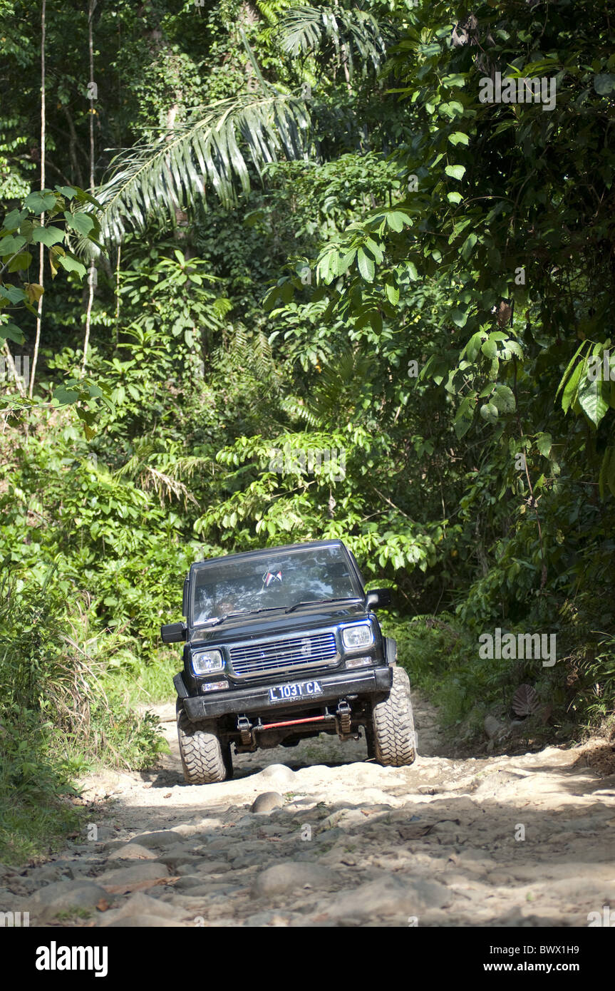 4x4 vehicle driving track through rainforest near Stock Photo - Alamy