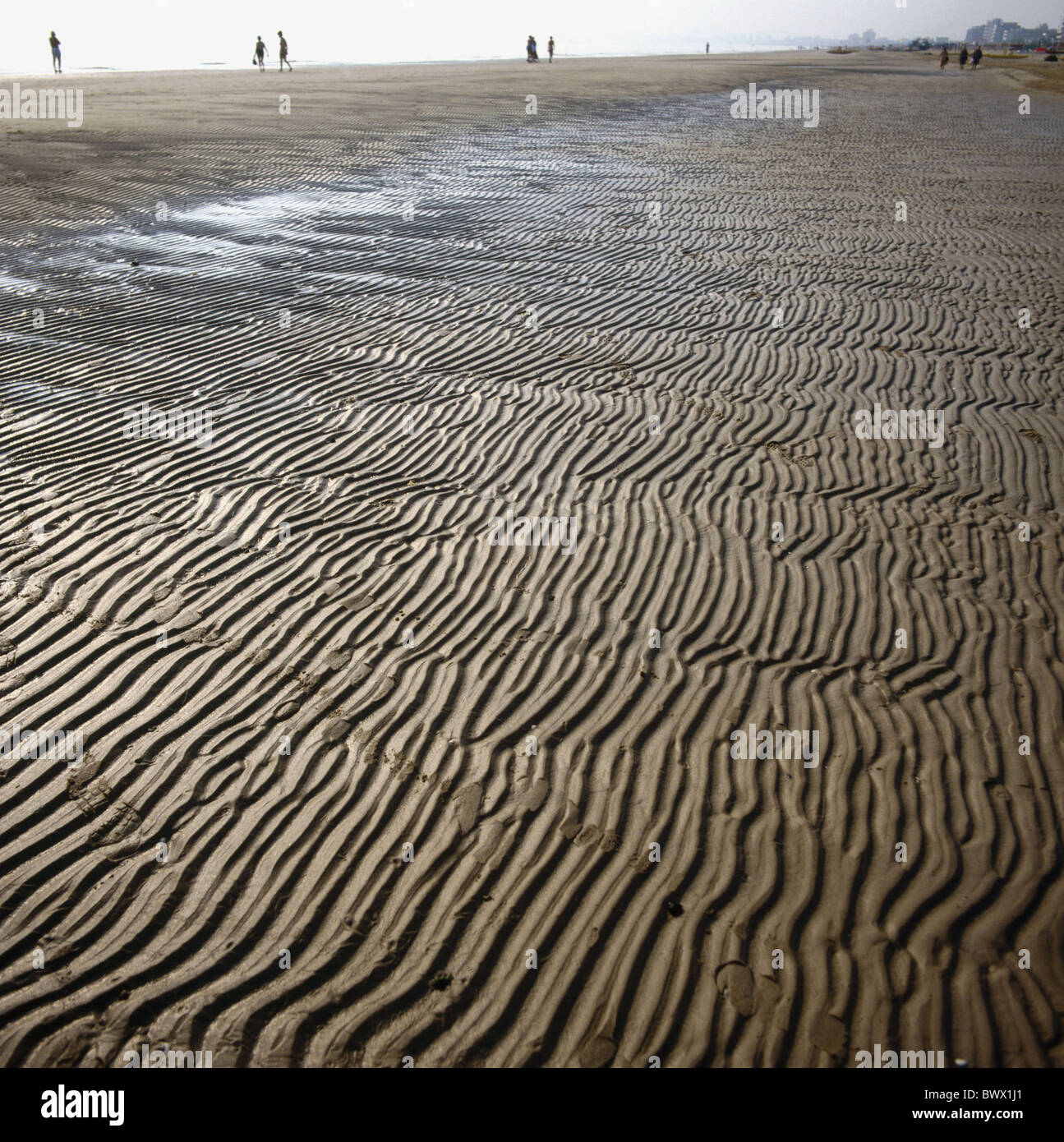 low ebb tide scenery sand sand formation water laughter ribs Stock ...