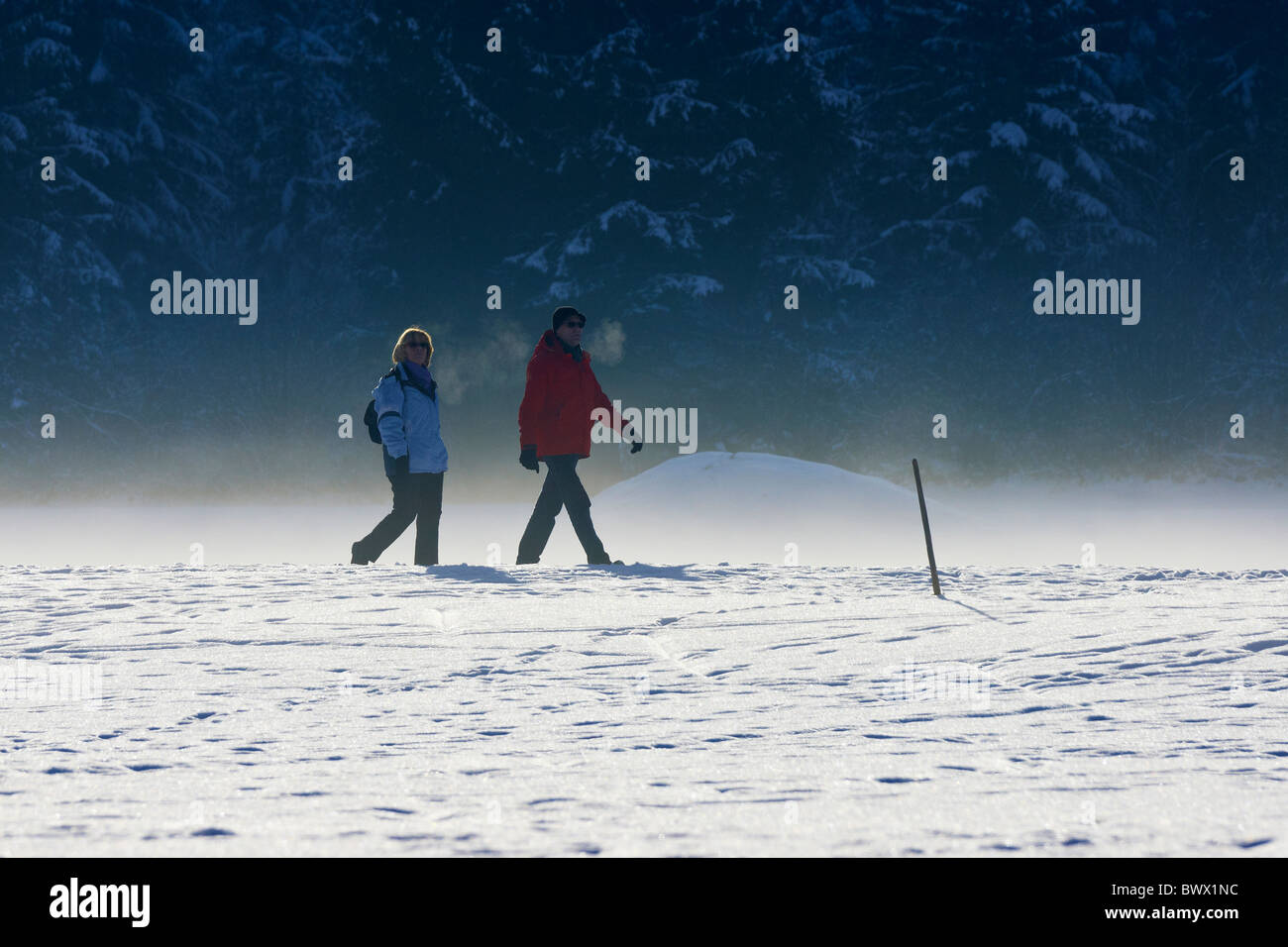 Walk through the snow hi-res stock photography and images - Alamy