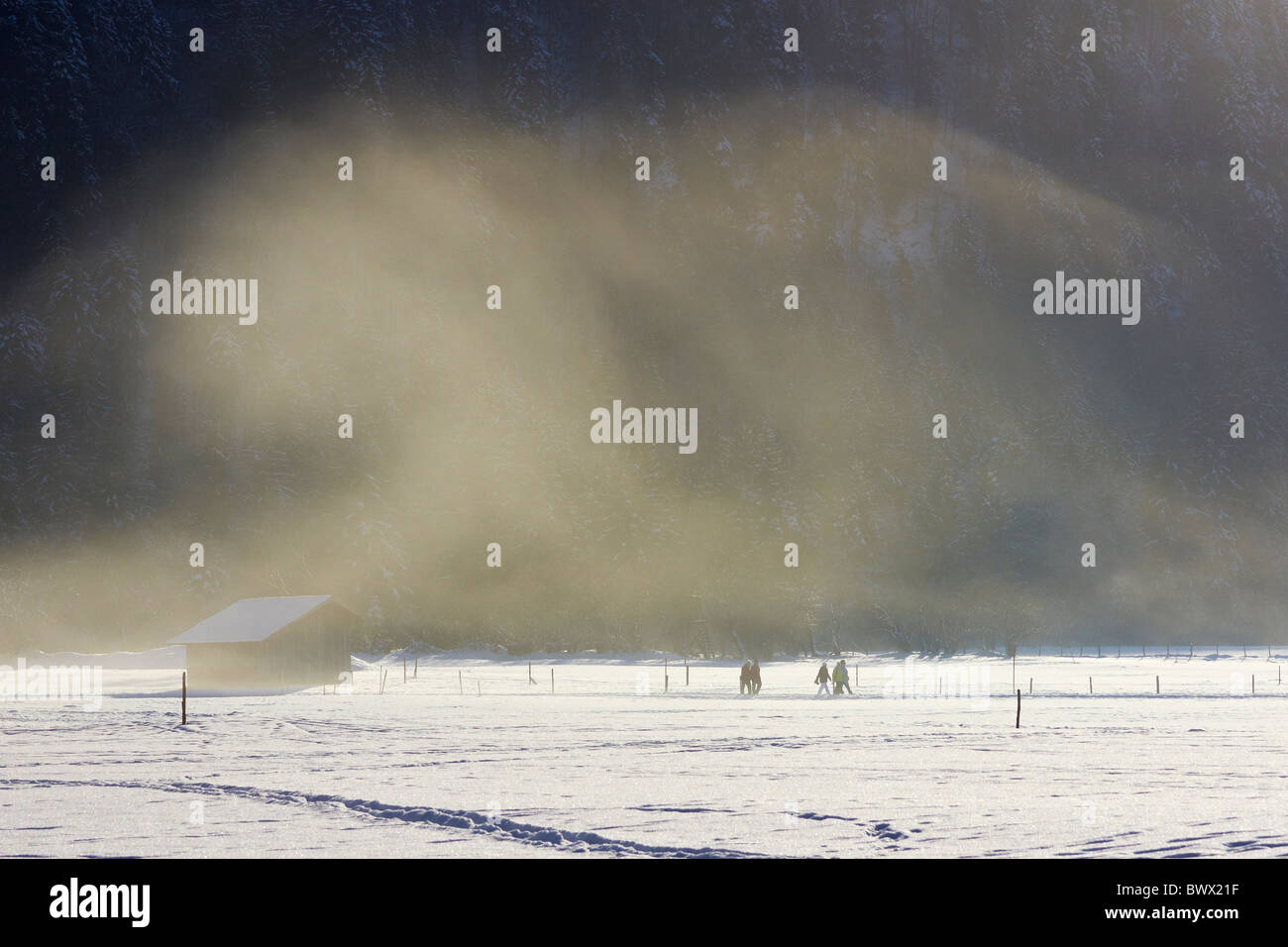 Cold mist creeping in Stock Photo - Alamy