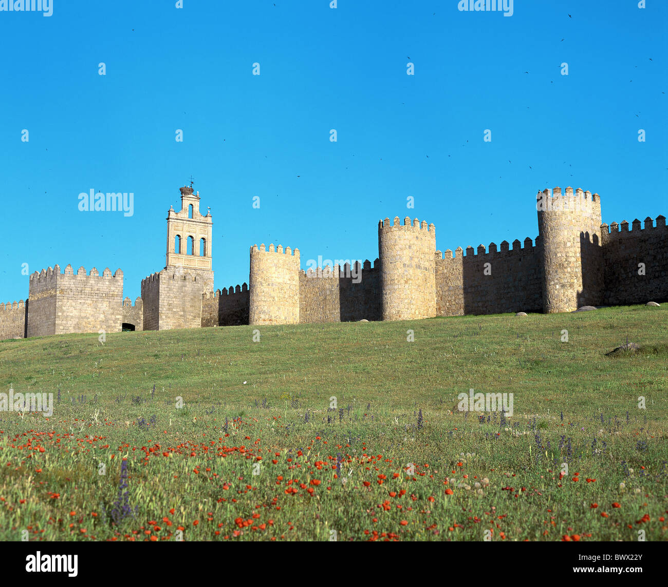Avila flower meadow medieval town wall Spain Europe Stock Photo - Alamy