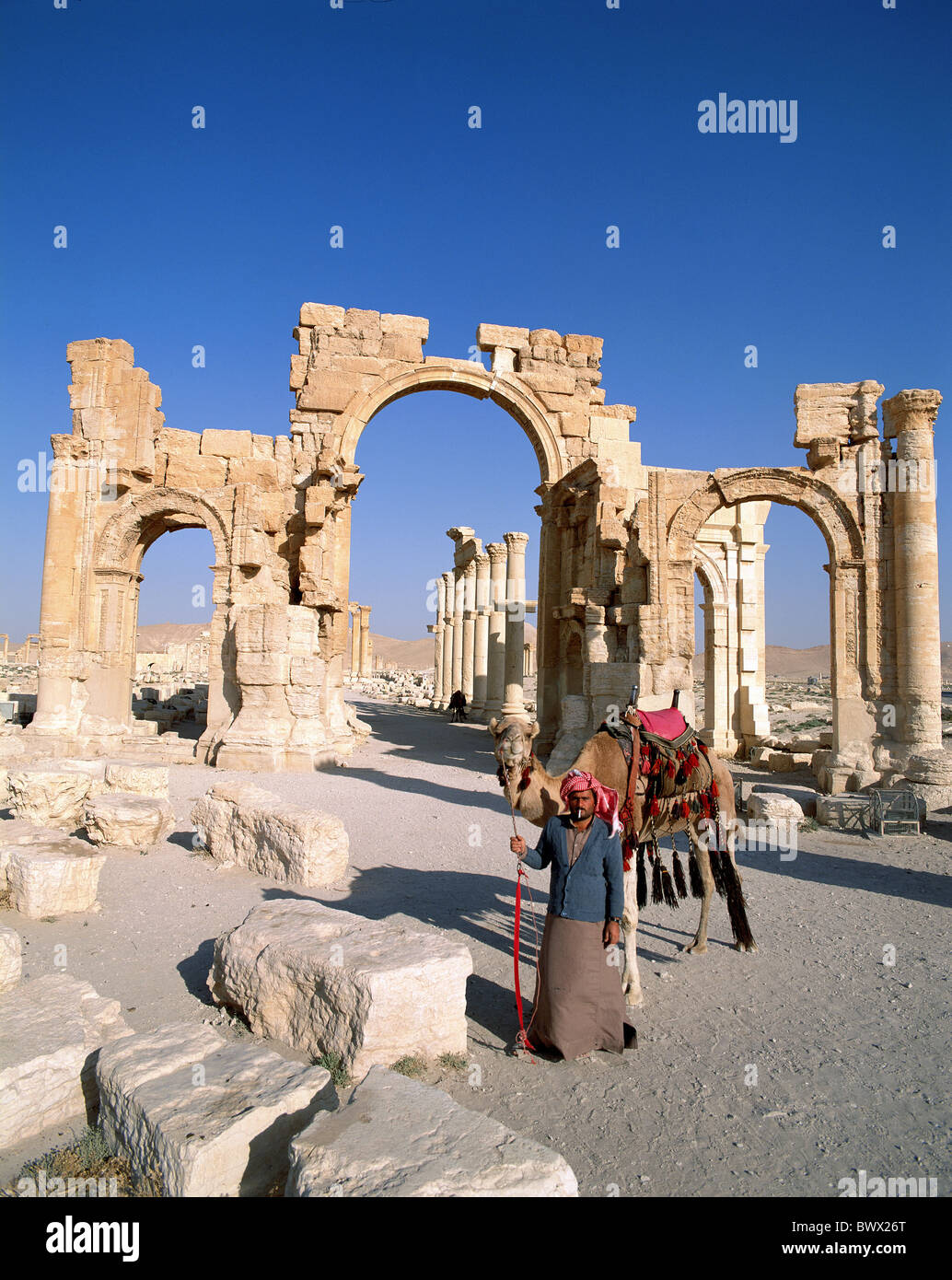 arches of a vault camel Palmyra ruins Syria driver Ancient world ...