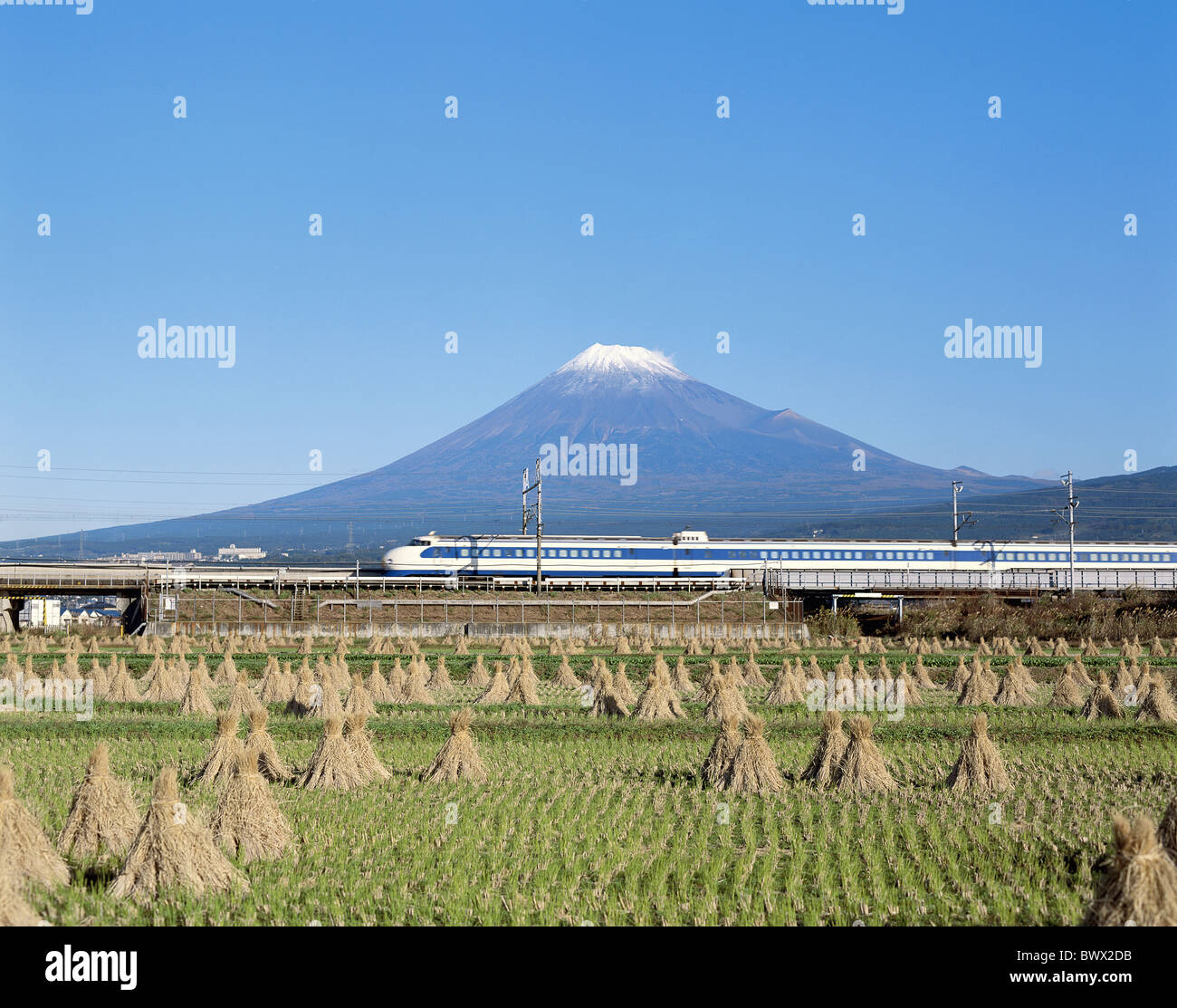 Bullet Train harvest crop Fujiyama Japan Asia rice fields train Stock ...