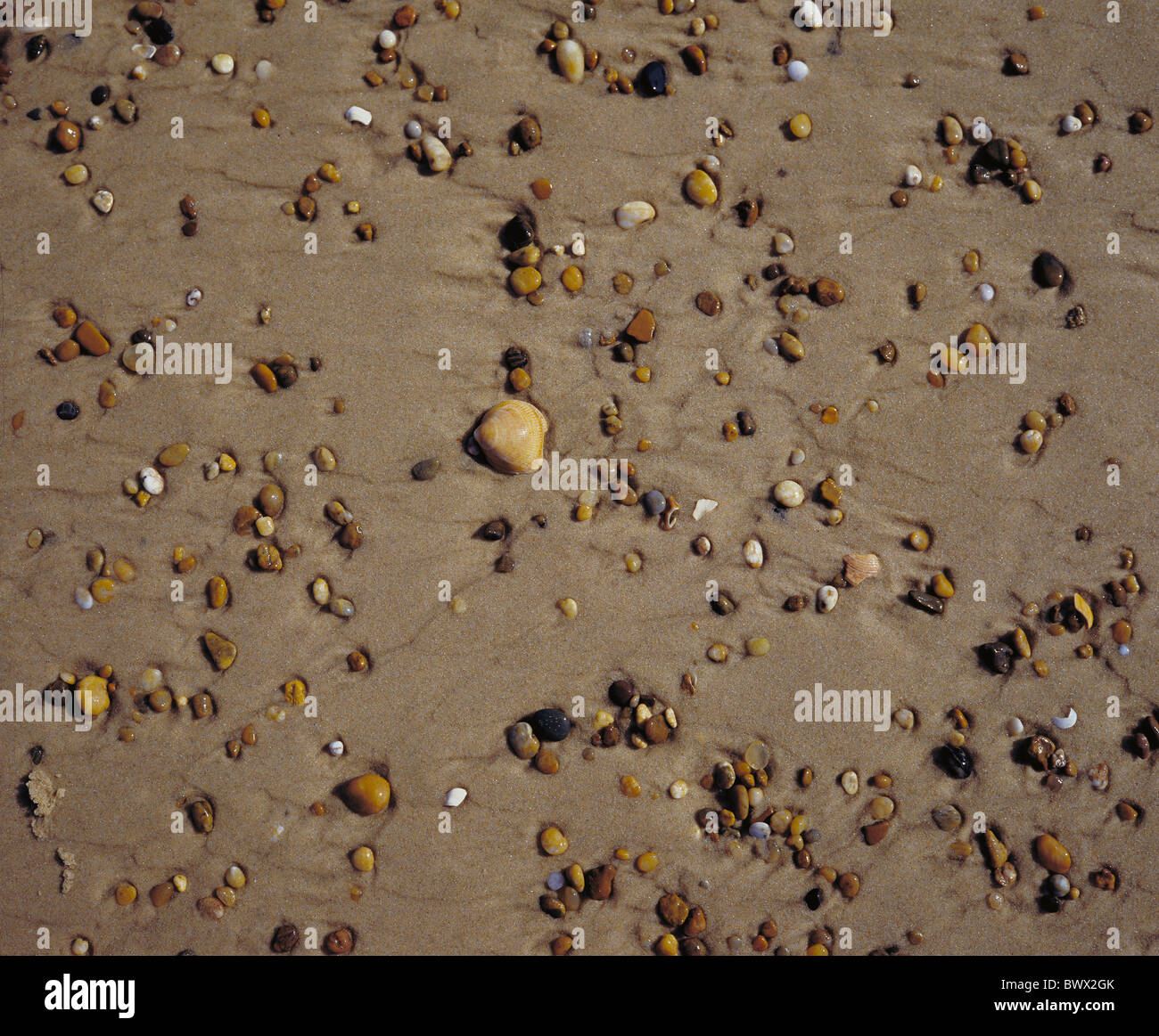 Humid soil hi-res stock photography and images - Alamy