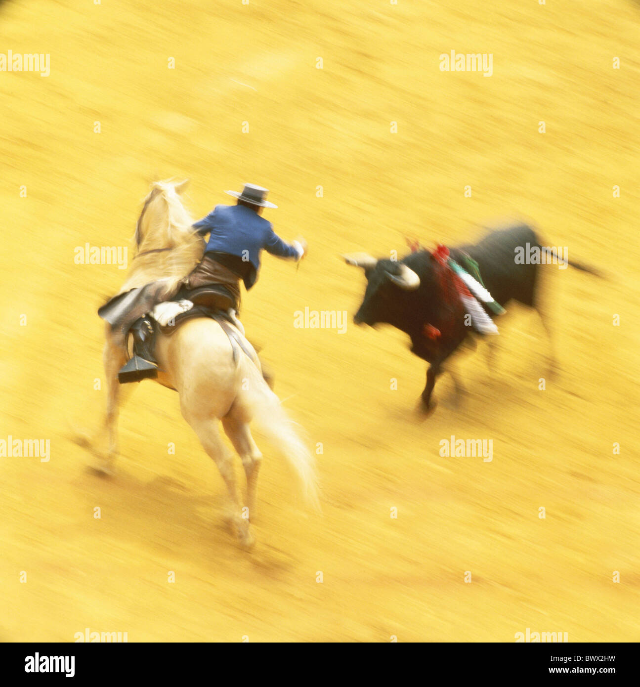 action Spain Europe bullfight scene Torrero Stock Photo - Alamy