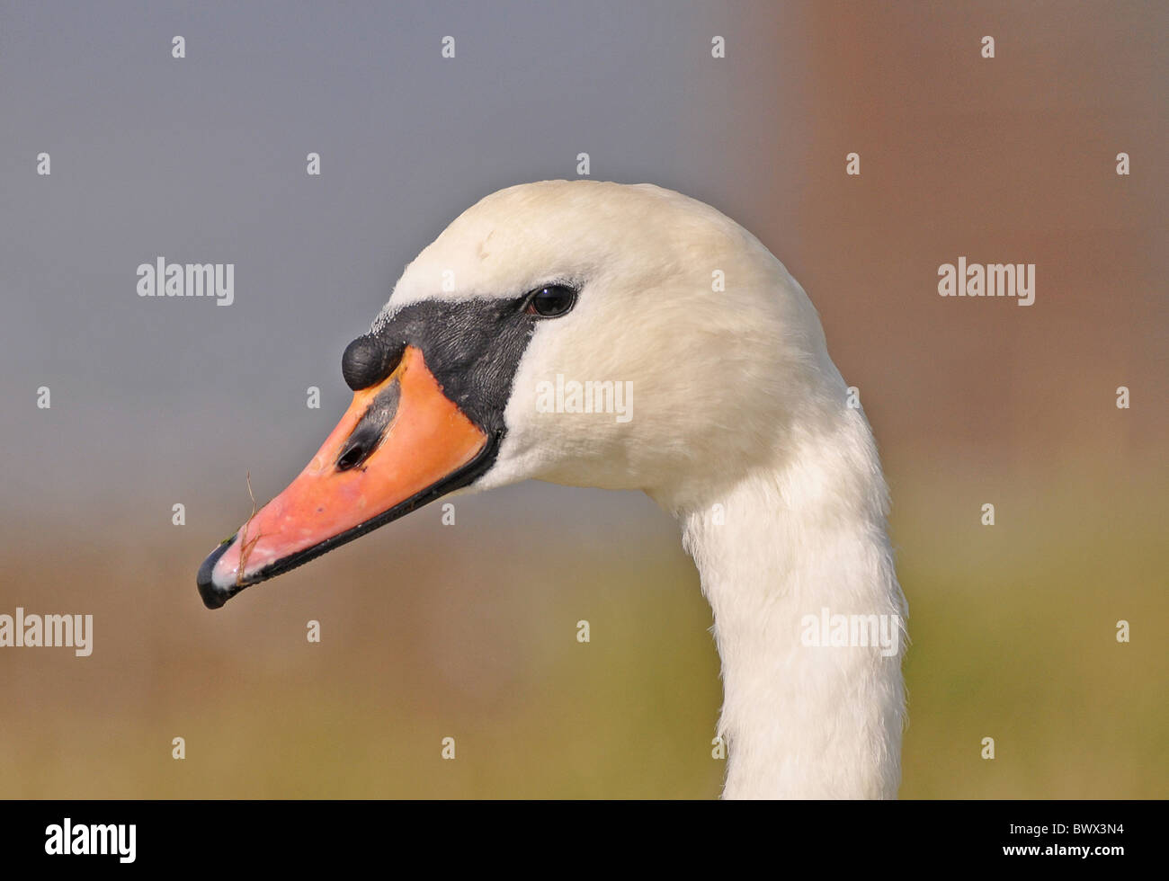 Lancing widewater hi-res stock photography and images - Alamy
