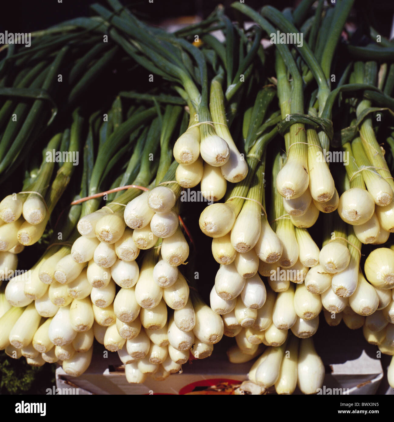 spring onions vegetables onions food eating Stock Photo - Alamy