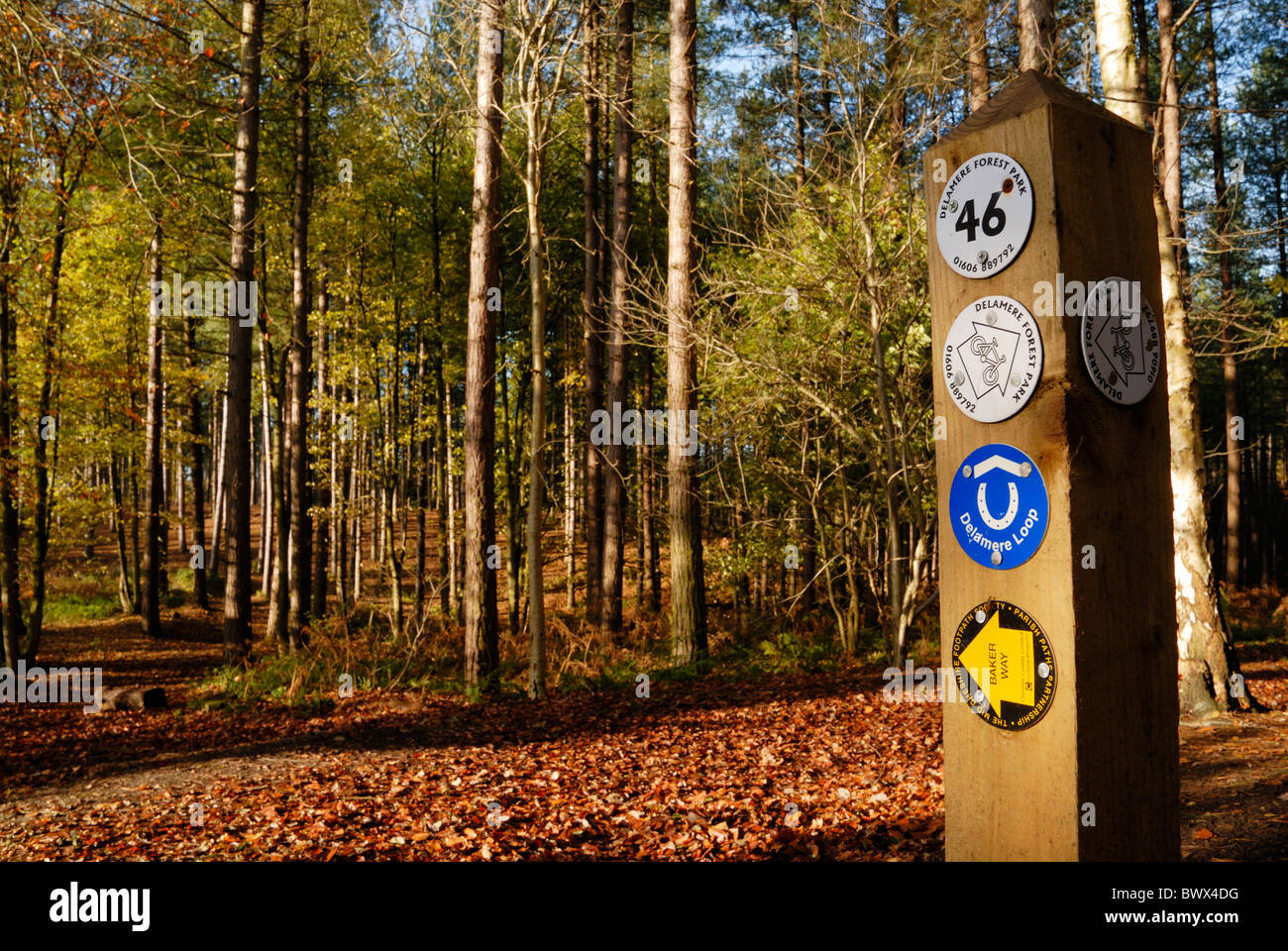 Route / direction / information signs on a post in Delamere Forest ...