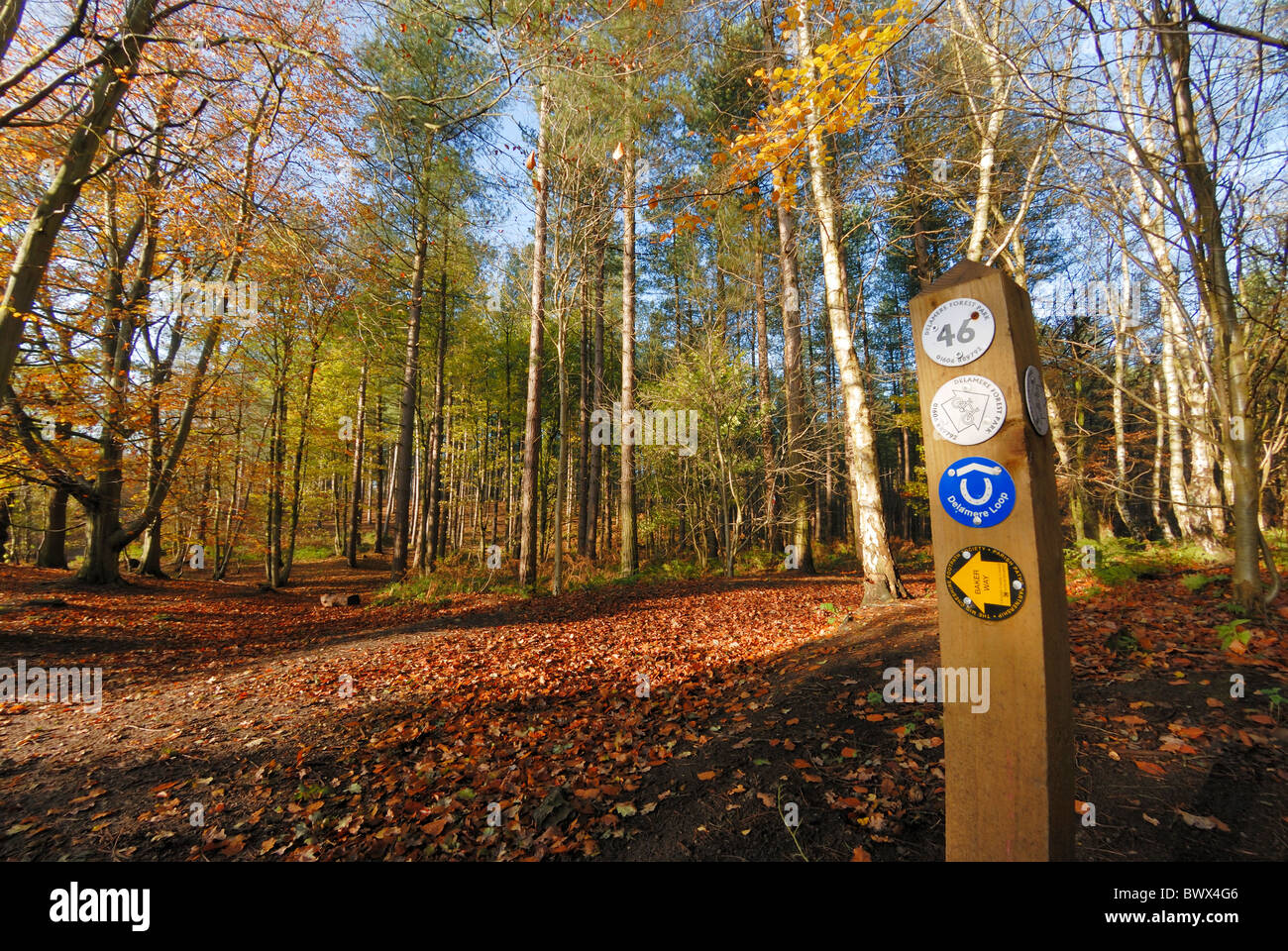Route / direction / information signs on a post in Delamere Forest ...