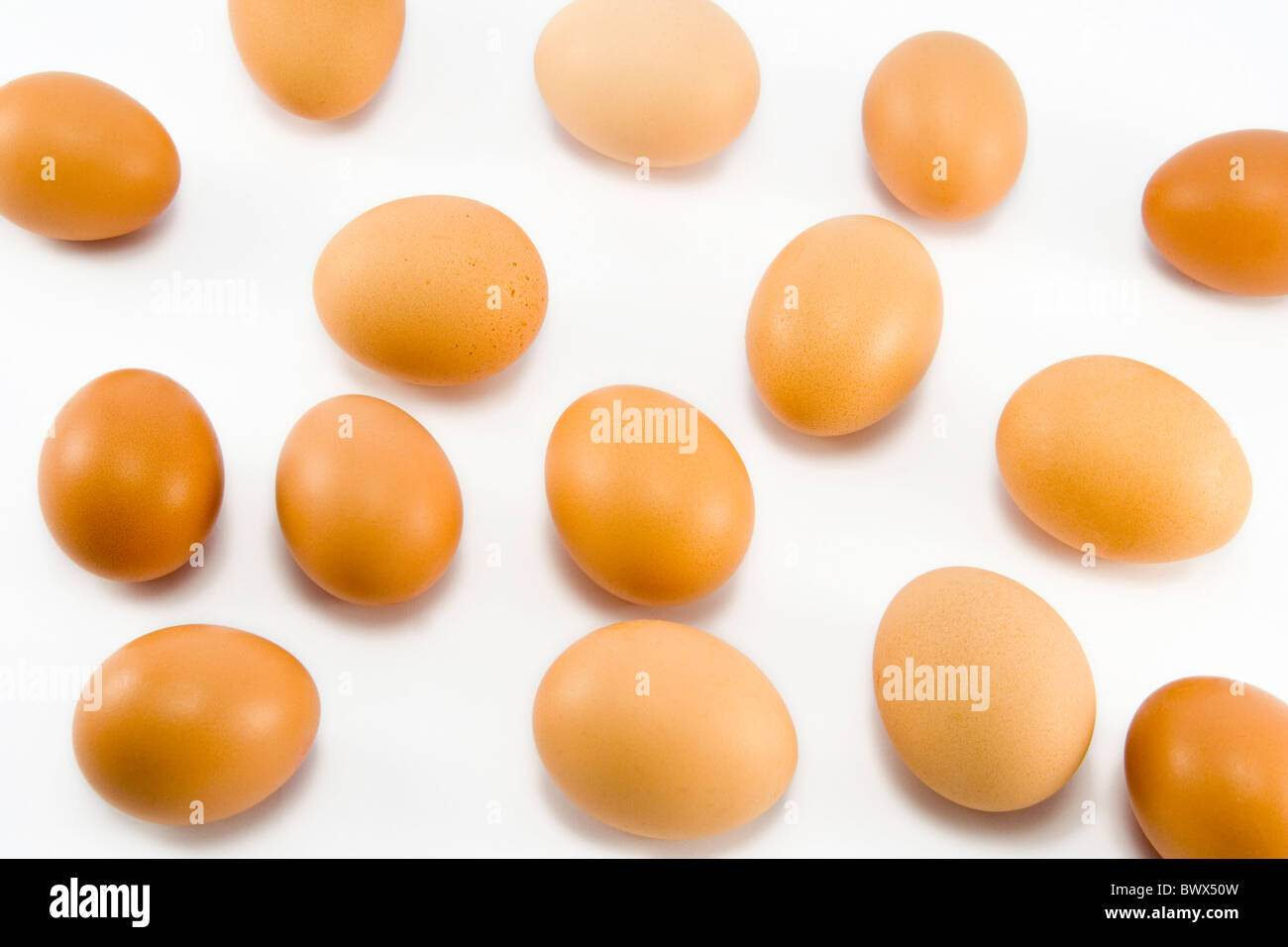 Natural white egg on hi-res stock photography and images - Alamy